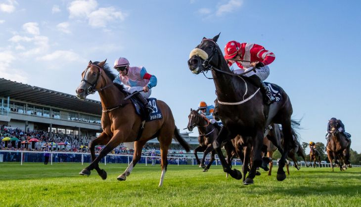 About Champions Weekend - Champions Festival | championsfestival.ie