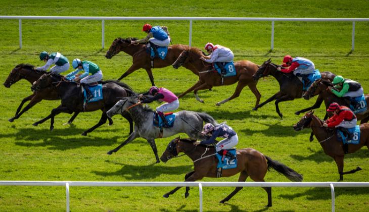 About Champions Weekend - Champions Festival | championsfestival.ie