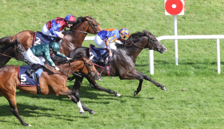 Racing - Champions Festival | championsfestival.ie